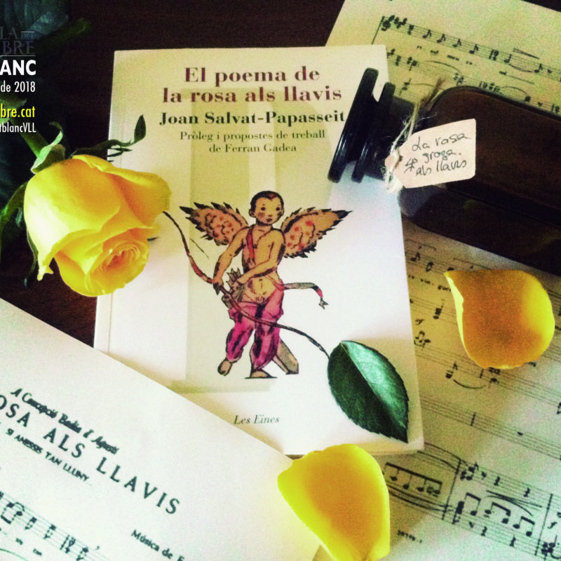 La Rosa Groga als Llavis - El Jardí Secret